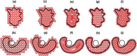 Geometrical Representation Of Spot Distribution Using Rectilinear Grid Download Scientific