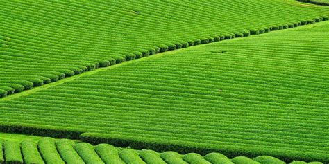 The Environmental Impacts Of Carbon Capture And Storage Verde
