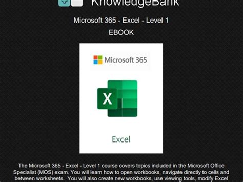 Microsoft 365 Excel Level 1 Qintil