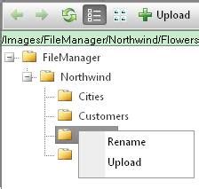 FileManager Feature Edit Setting KT UI For ASP NET AJAX