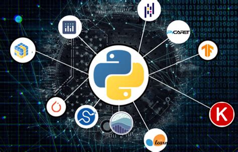 Python Libraries Every Developer Should Know Seldom India