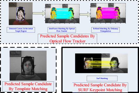 Predicted Sample Candidates Obtained Respectively Optical Flow Tracker Download Scientific