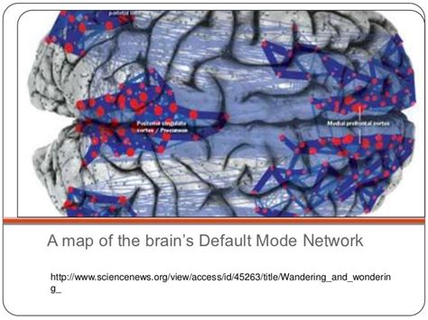 The Default Mode Network The Default Mode Network
