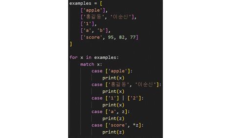 Python 기초 파이썬의 조건문 Match ~ Case문의 개념 인천일보아카데미