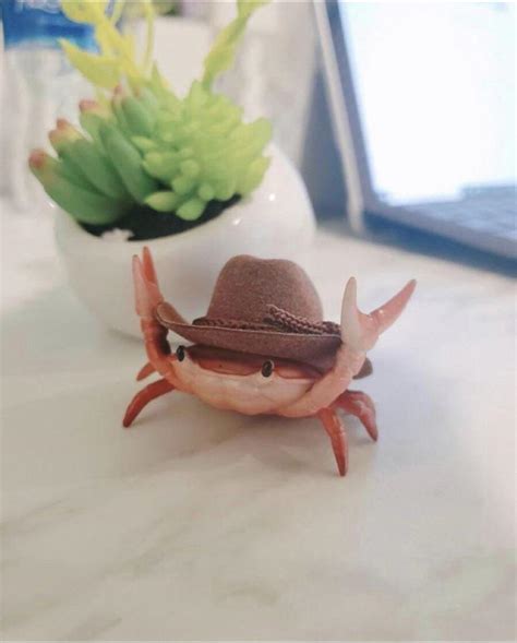 Psbattle This Tiny Crab Wearing A Hat Rphotoshopbattles