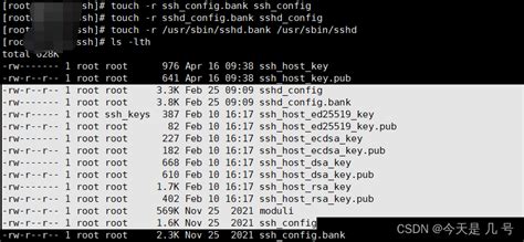 【权限维持】linuxandopensshandpam后门andssh软链接and公私钥登录ssh Pam Csdn博客