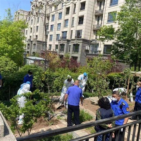 政务 净月高新区永兴街道开展毁绿种菜专项整治行动 执法中队 小区 物业