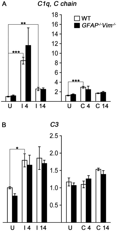 a complement component c1q here represented by c1q c chain mrna is