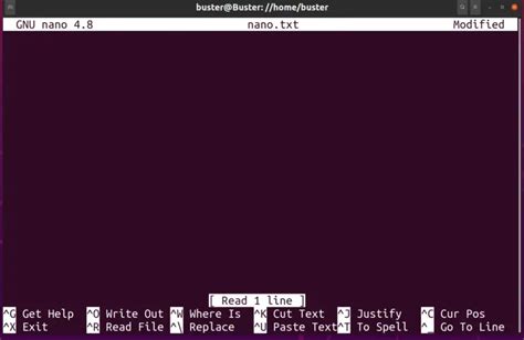 Exploring Text Editors In Ubuntu 20 04 ByteXD