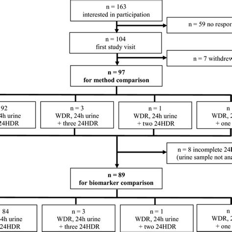 Flowchart Illustrating The Number Of Participants And Completed Download Scientific Diagram