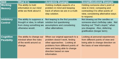 Executive Functions Cognitive Literacy Solutions