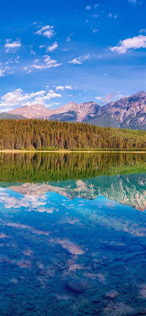 Find The Most Stunning Background Iphone Nature For A Relaxing Home Screen