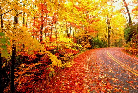Autumn Aesthetic Wallpapers Top Free Autumn Aesthetic Backgrounds