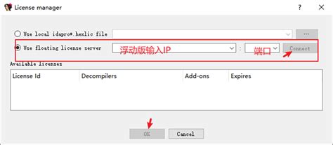Ida Pro Portal 许可和程序下载安装指南 Ida中文网站