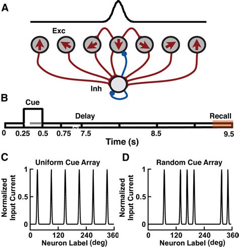 Network Model Structure And Simulation Protocol A Model Scheme The