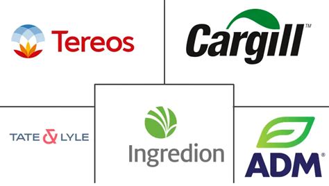 유럽 전분 감미료 시장 회사 규모 점유율 및 분석