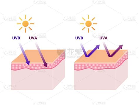 Uva和uvb辐射类型,紫外线防护防晒矢量图素材 花瓣网 Uva和uvb辐射类型,紫外线防护防晒矢量图素材 花瓣网
