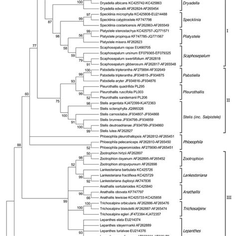 Bootstrap Consensus Phylogenetic Tree Inferred From The Matk Data Set