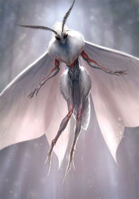 Insect Lady Antennas Wings Moth Woman Art By Jinhoon Park Monster Art Monster Concept Art