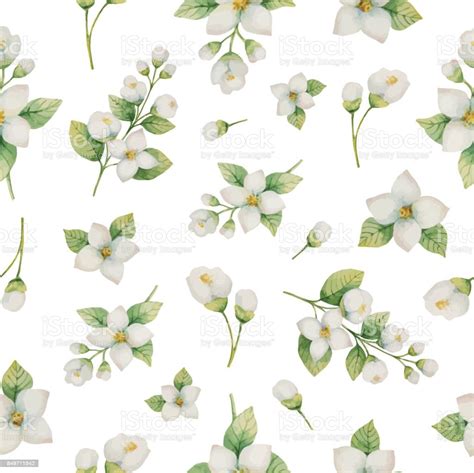 수채화 벡터 꽃과 가지 재 스민 흰색 배경에 고립의 완벽 한 패턴입니다 재스민에 대한 스톡 벡터 아트 및 기타 이미지 재스민 수채화 0명 Istock