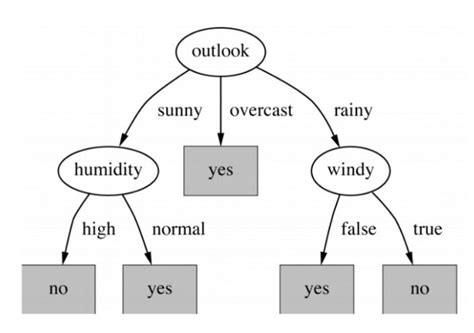 Decision Tree Algorithm Decision Tree Is One Of The Popular By