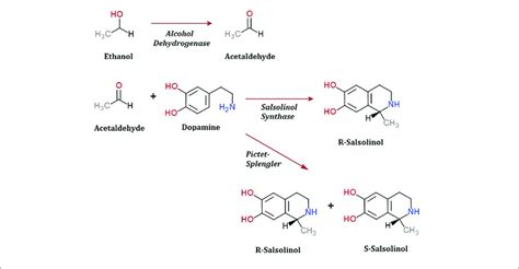 Microbial Production Of Acetaldehyde From Ethanol By Alcohol