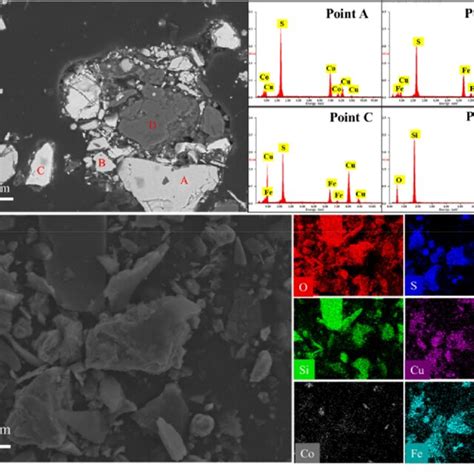 Sem Images And Eds A Point Analysis B Mapping Analysis Download Scientific Diagram
