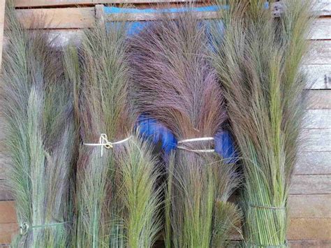 လိပ်သိုမြို့တွင် တံမြက်စည်းတံဈေးကောင်းရရှိ၍ ချိုးရောင်းသူများဝင်ငွေကောင်း Information And