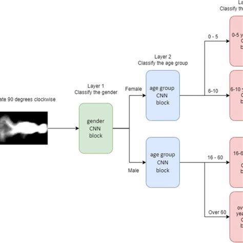 Single View Gender Age Classification Model Download Scientific Diagram