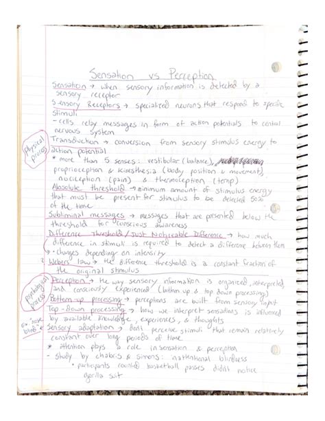 Sensation Vs Perception Notes Sensakon Vq Lecce Pion Qensation 7