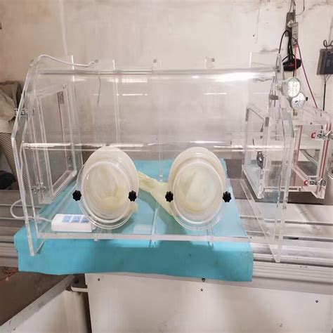 实验室手套箱 氮气透明干燥箱 有机玻璃试验箱 廊坊玉双仪器设备有限公司