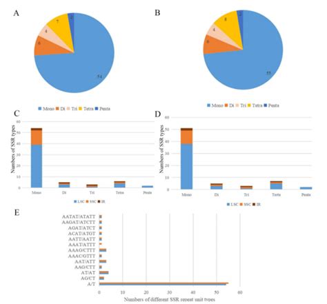 【派森诺项目文章】if 4 4！叶绿体基因组测序 比较基因组学分析助力珍稀濒危兰科多样性保护研究 知乎
