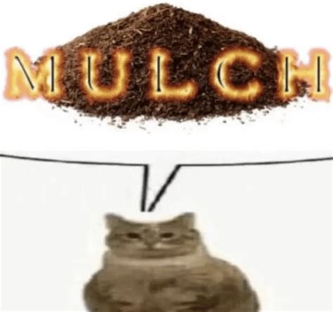Ghfdkmnggggbm Rsssdfg