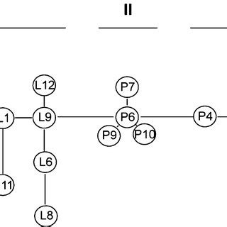 Minimum Spanning Network Based On ST Between Populations The Download Scientific Diagram