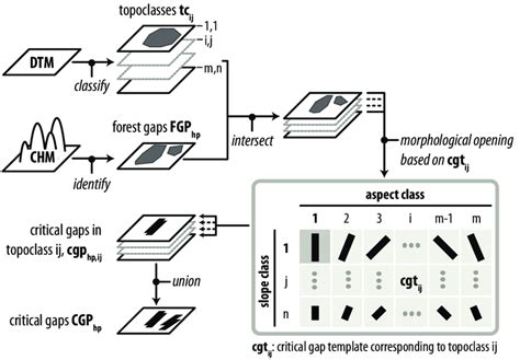 Workflow For The Automatic Detection Of Critical Forest Gaps Cgp Hp Download Scientific