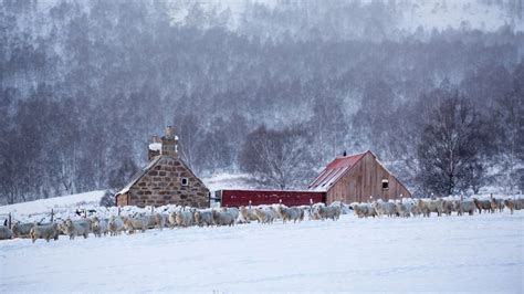 Moxon Adds Red Metal And Larch Extension To Scottish Highlands Farmhouse