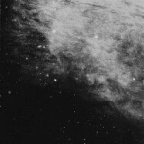 Newt Tmr I Love Poems Music And Books Band Ge