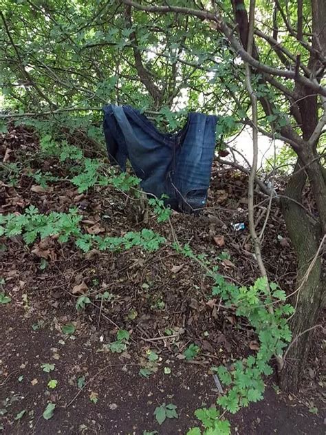 Devastating Photos Reveal Sex Worker S Home In Woods Next To Primary Babe Irish Mirror