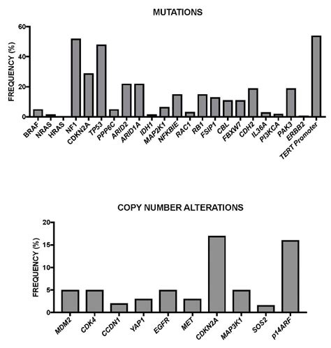 Recurrent Gene Mutations And Copy Number Alterations Occurring In Download Scientific Diagram