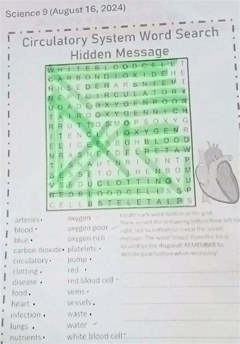 Science 9 August 16 2024 Circulatory StudyX