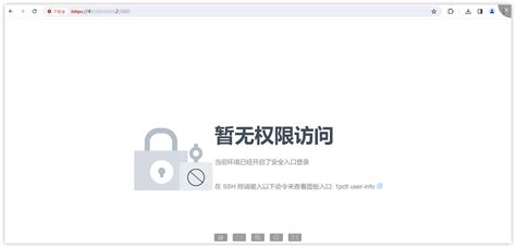 1panel Open Source Panel Project Has An Unauthorized Vulnerability