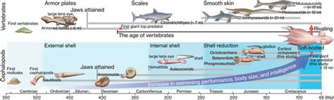 Scientists Have Just Discovered A 62 Foot Prehistoric Octopus And It