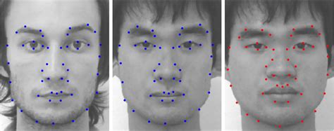 An Example Of Usage Of The Software For Image Deformation The Image In
