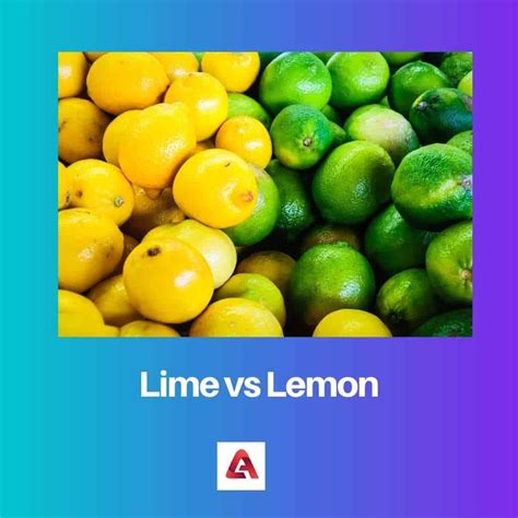 Lime And Lemon Tree Difference At Leonard Hazzard Blog