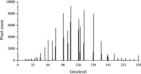 Figure 1 From Microstructure Reconstruction Of Fibrous Cc Composites