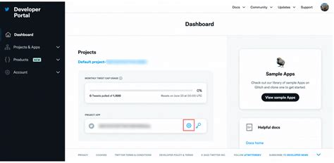How To Setup The X API Key TINT