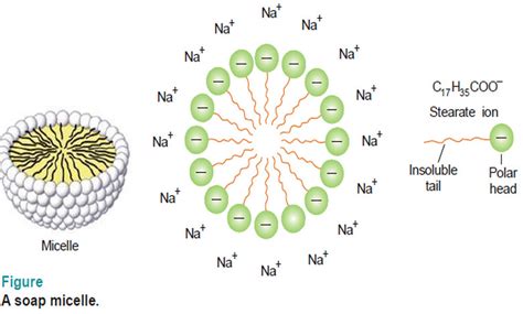 Colloids Definition History And Types Read Chemistry