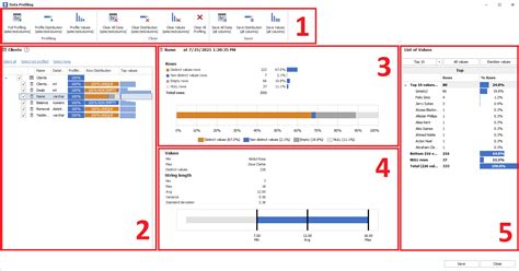 Data Profiling In Dataedo Desktop Dataedo Documentation