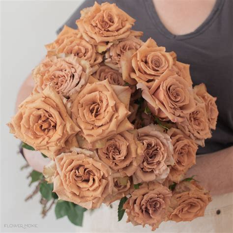Tan Toffee Roses Bulk Fresh Diy Wedding Flowers Flower Moxie