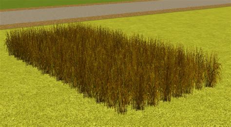 Simming In Magnificent Style The Farm 8 Wheat